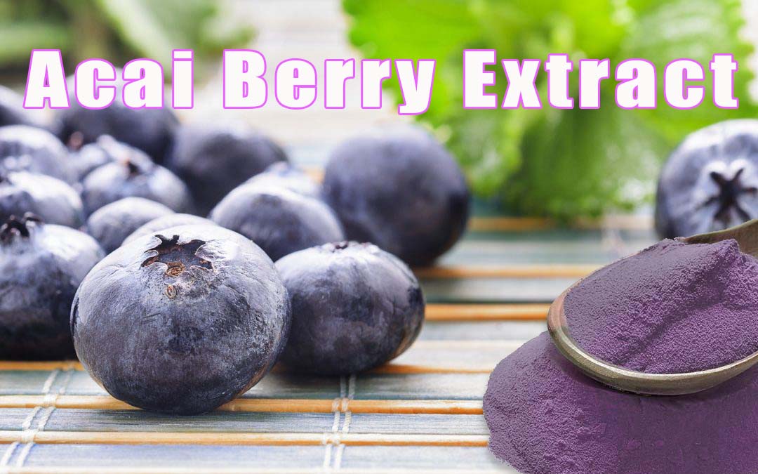 Acai Berry Extract Powder 4:1 – Supplier plant extract chlorogenic acid