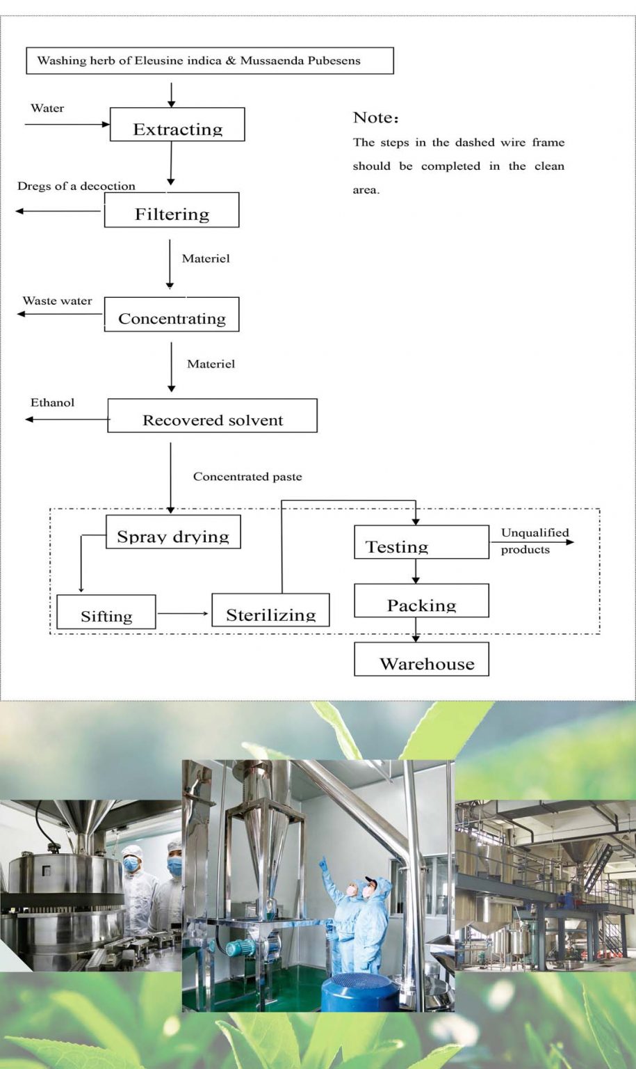 Flow Chart – Supplier plant extract chlorogenic acid